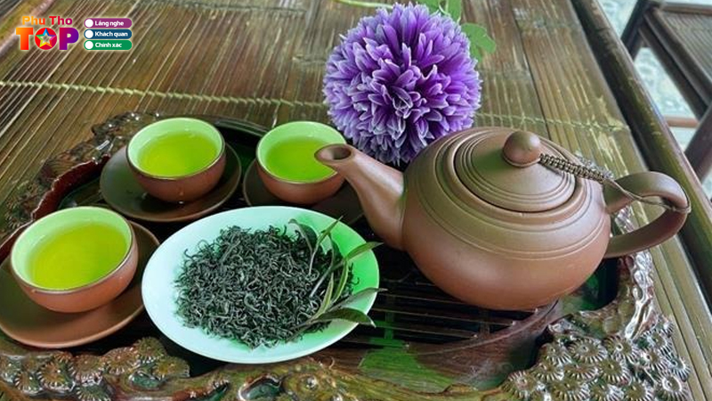 Top 10 nhà cung cấp trà chè Phú Thọ được đánh giá chất lượng tốt