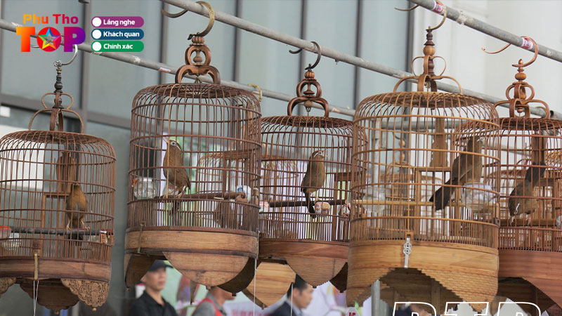 Top 5 địa chỉ bán lồng chim tại Phú Thọ đẹp, độc đáo